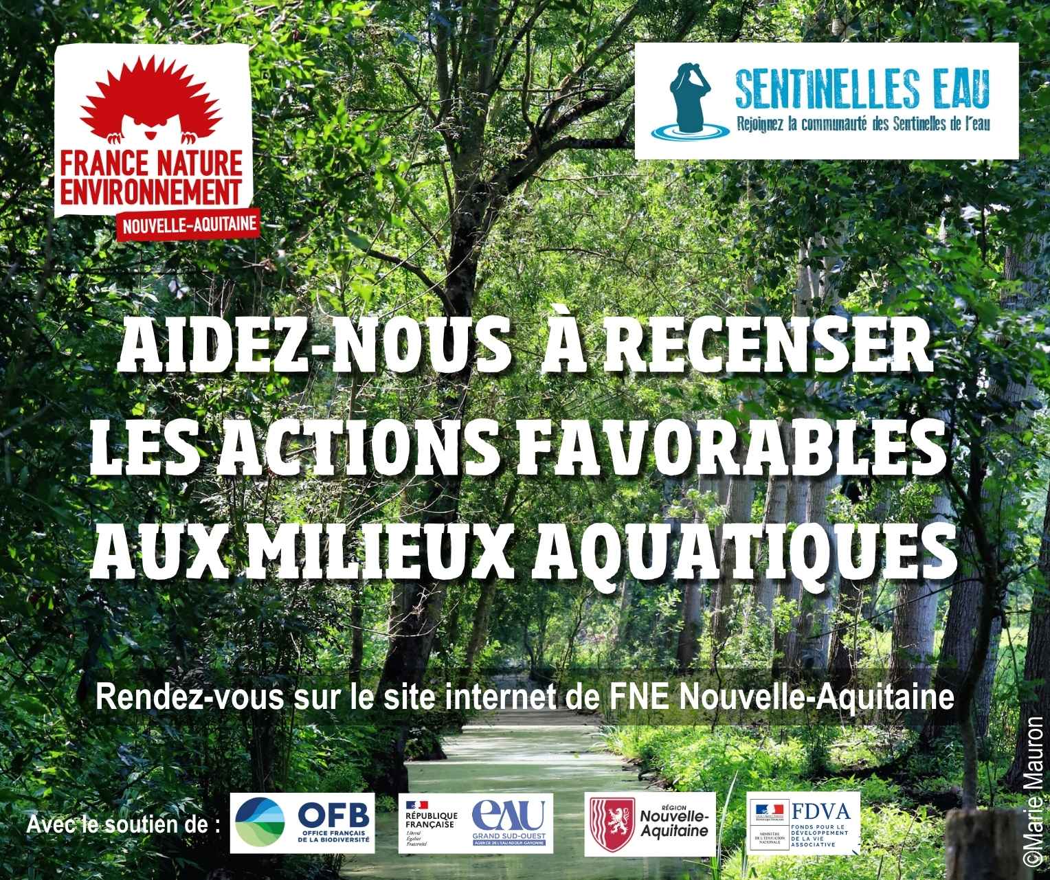 Recensement des actions favorables liées à l'eau | FNE Nouvelle-Aquitaine