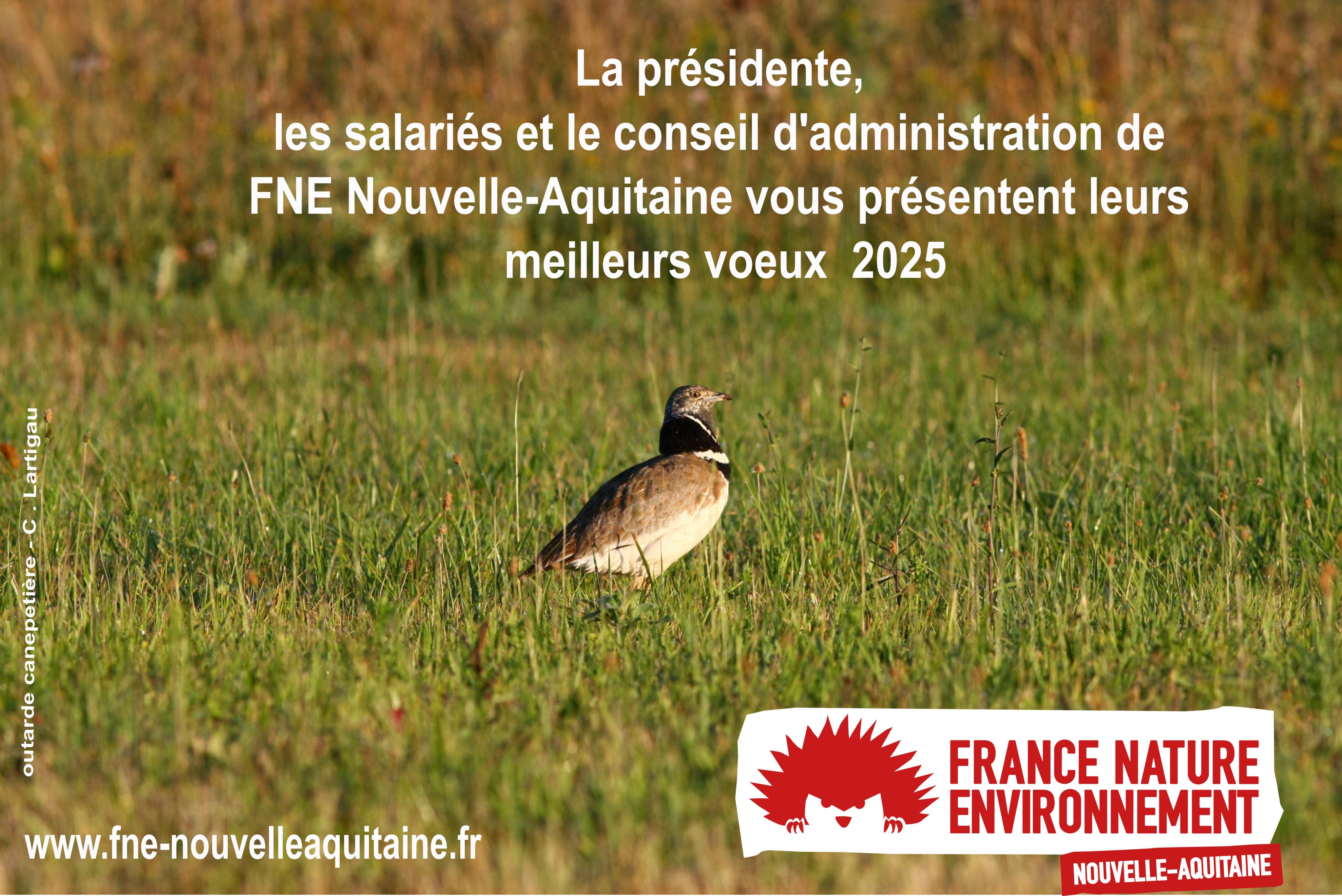 Voeux de FNE NA | FNE Nouvelle-Aquitaine